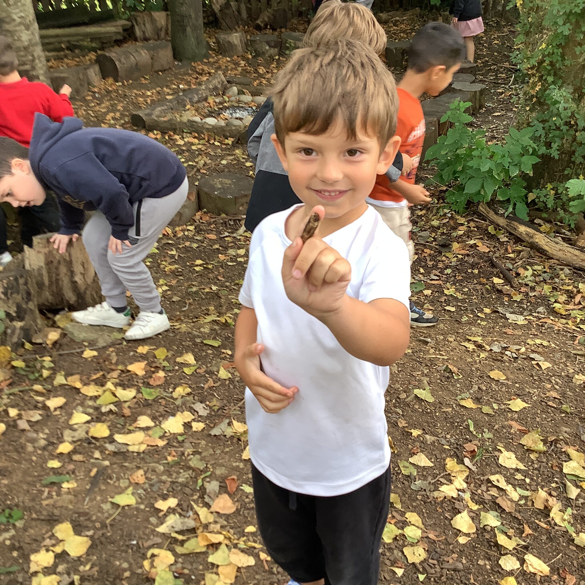 Forest School and Outdoor Learning - Redland Primary School